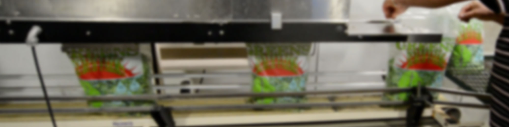 Jesus Maria Genao - Atlantic Packaging